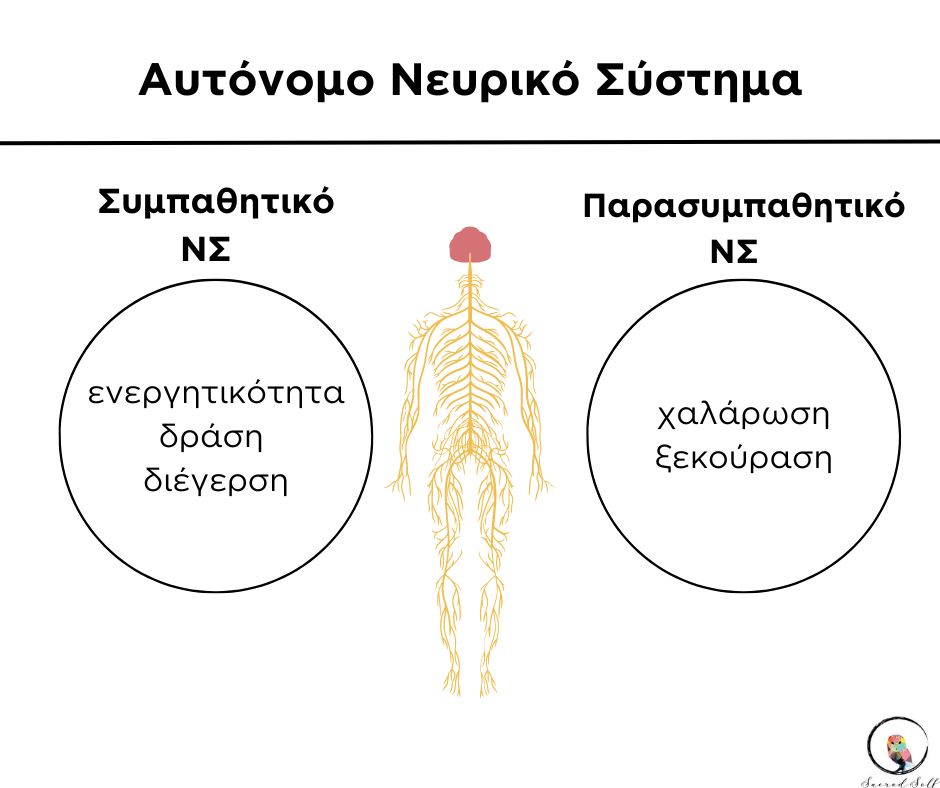Πως θα ανακουφίσεις γρήγορα το άγχος και τα συναισθήματά σου - Ασκήσεις ...